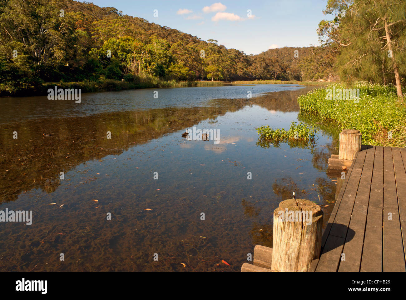 Iron bark flat picnic area hi-res stock photography and images - Alamy