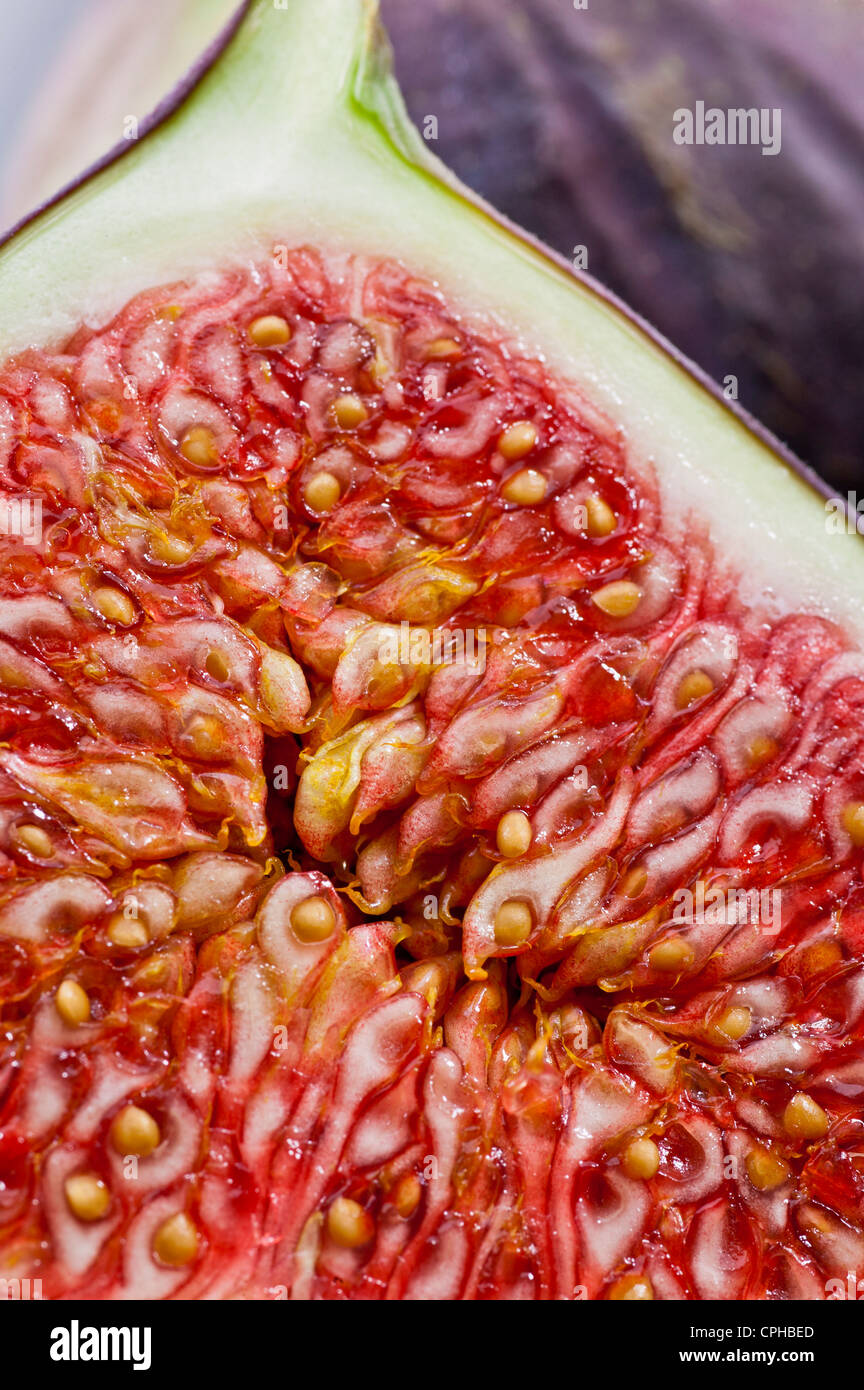 close-up still life of coward pieces Stock Photo - Alamy