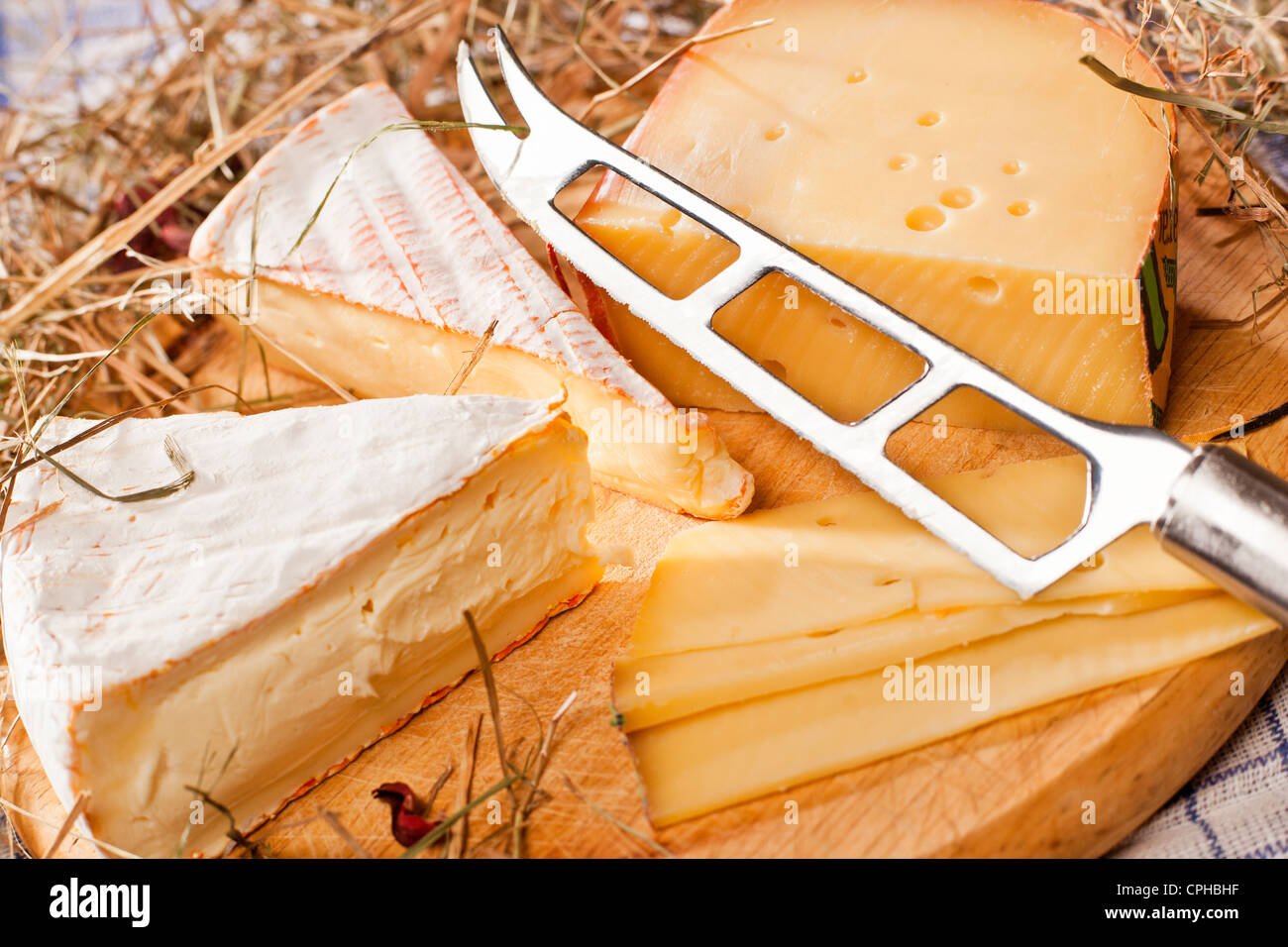 still life of sorts of cheese on a plate decorated with hay Stock Photo ...