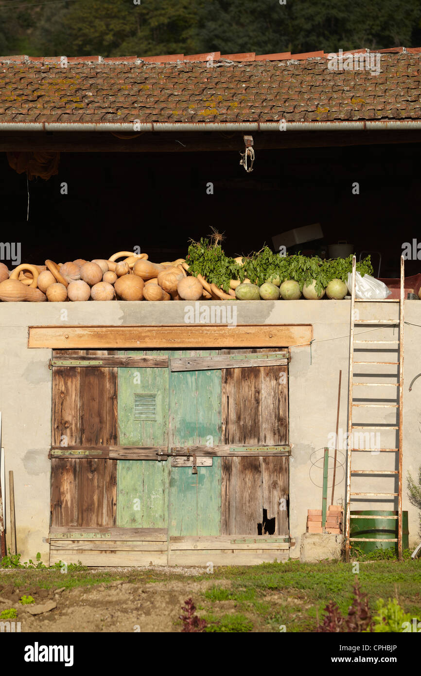 Vegetable storage shed hi-res stock photography and images - Alamy
