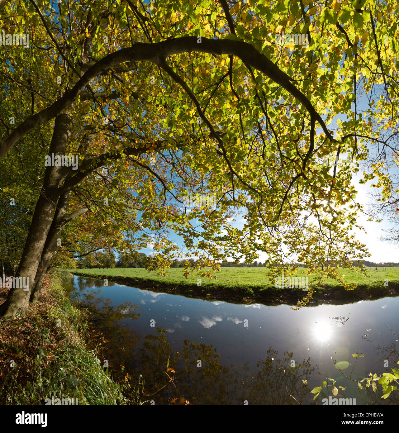 Netherlands, Holland, Europe, ‘s Gravel, landscape, water, trees ...
