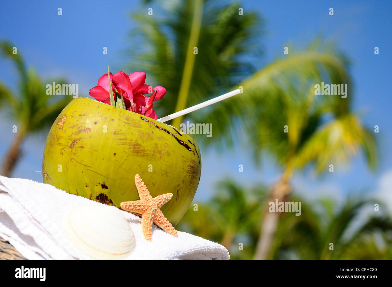 Coconut with drinking straw on a palm tree at the sea Stock Photo - Alamy