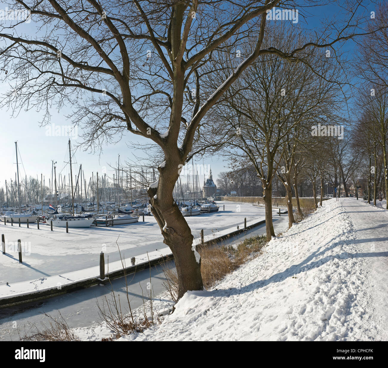 Netherlands, Holland, Europe, Hoorn, City, Village, Water, Trees ...