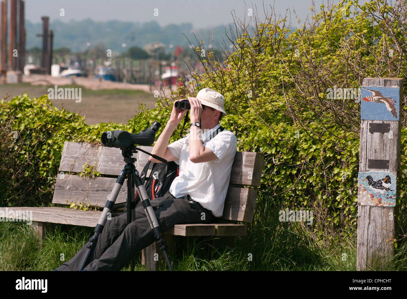 Twitcher Birdwatcher Looking Through Binoculars Twitching Birdwatching ...