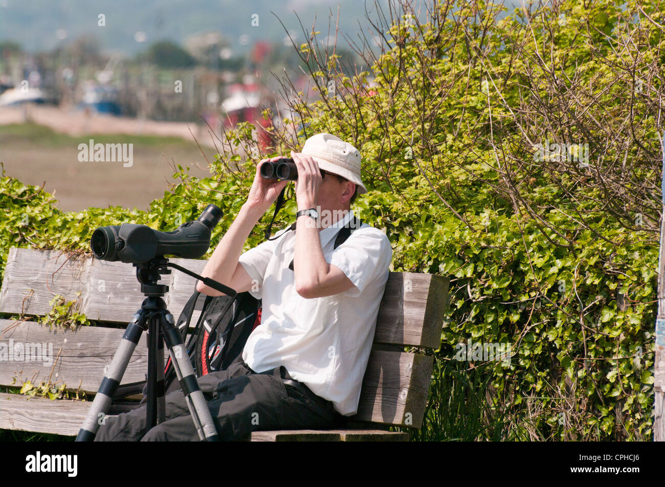 Birdwatcher High Resolution Stock Photography and Images - Alamy