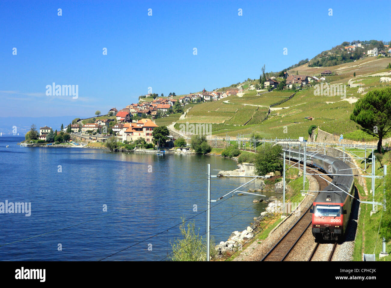 Train passing Rivaz with Lake Geneva, Swiss canton of Vaud, Switzerland ...
