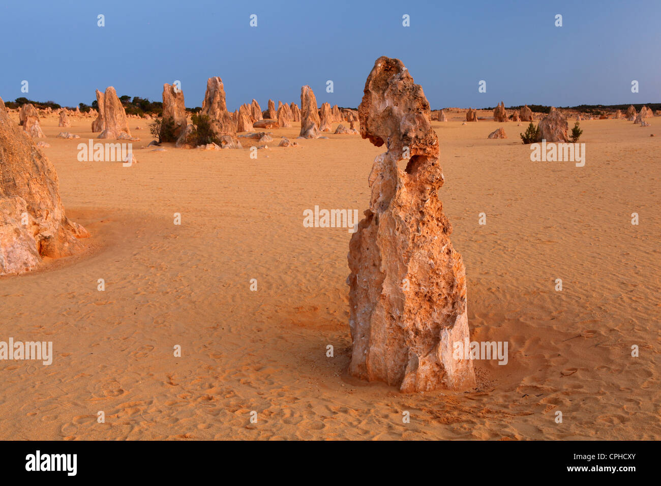 Pinnacles, Australia, Nambung, national park, western Australia ...