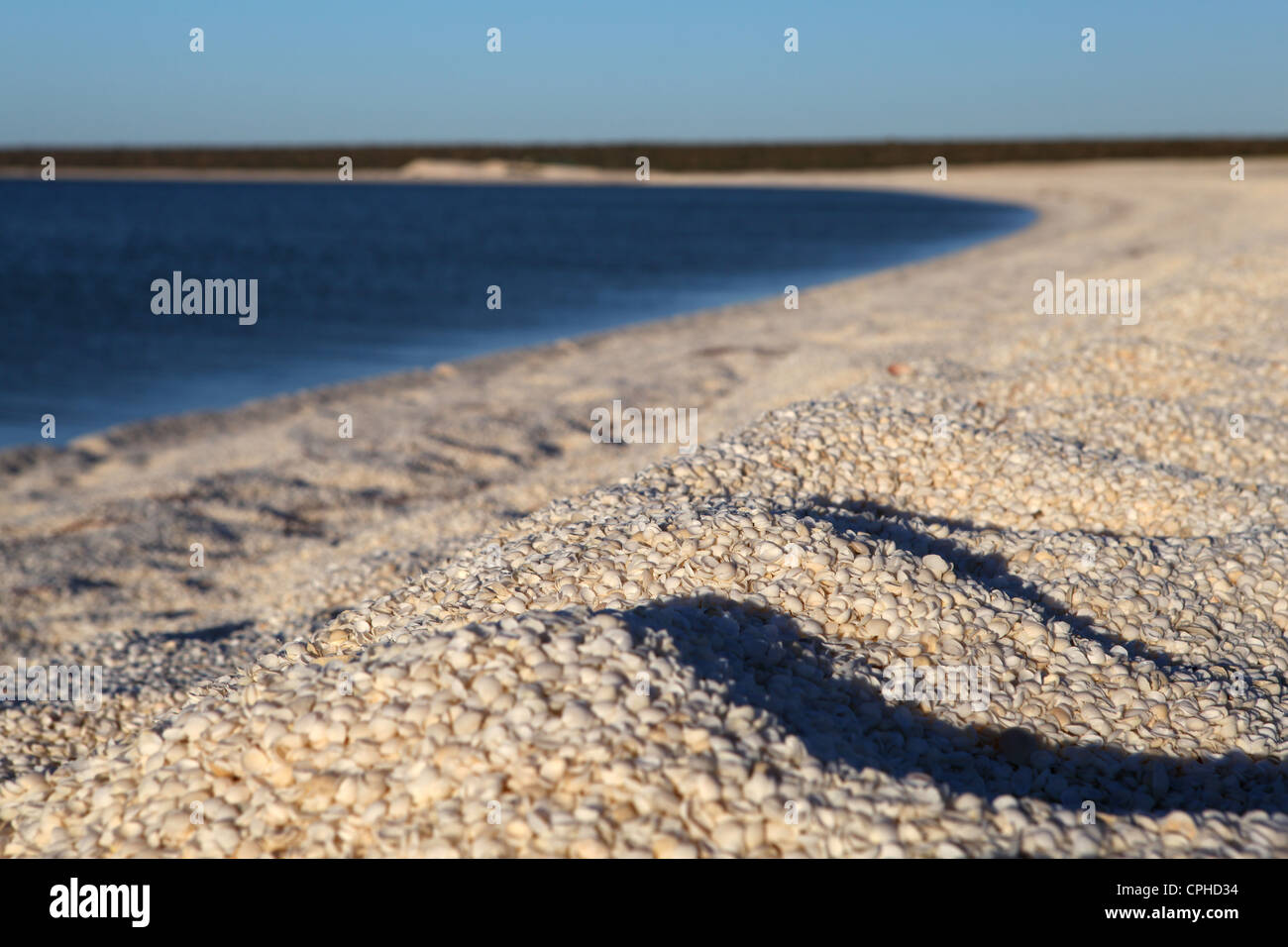 Shell Beach, L'Haridon Bight, western Australia, west coast, coast ...