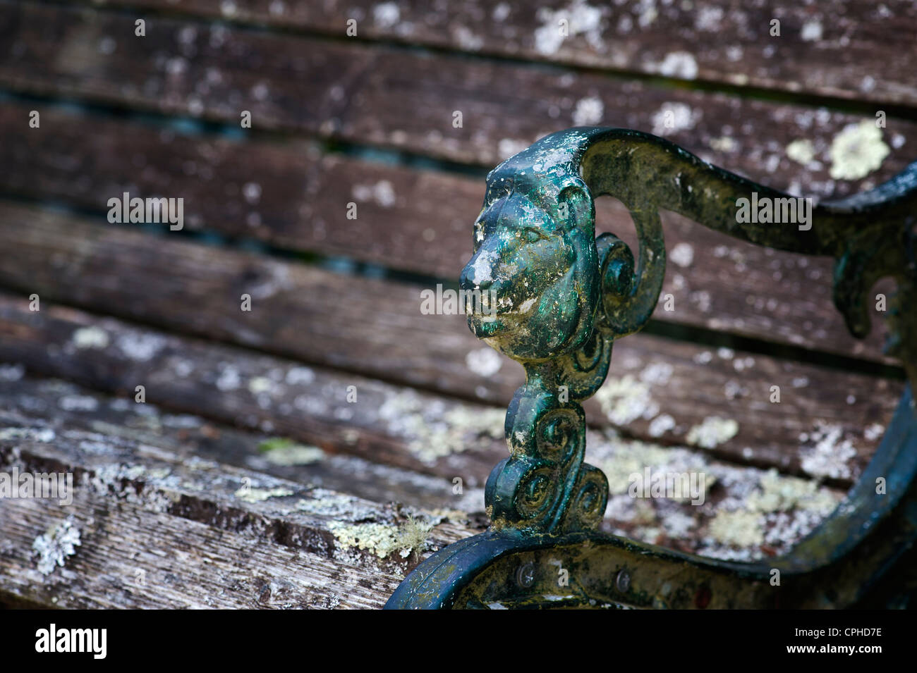Old rustic garden seat with a lions head arm rest Stock Photo - Alamy