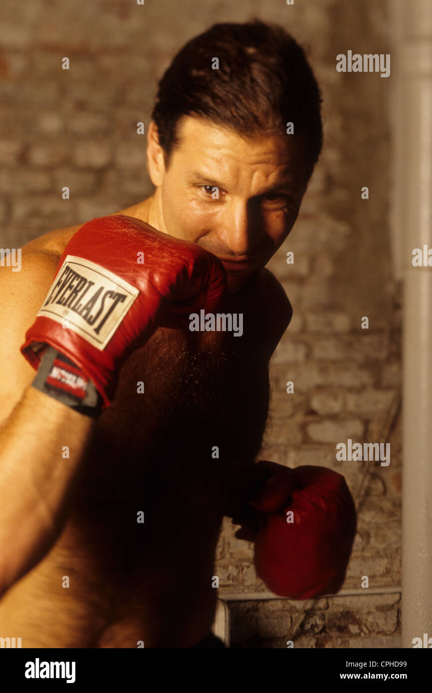 Portrait of a Boxer training Stock Photo - Alamy