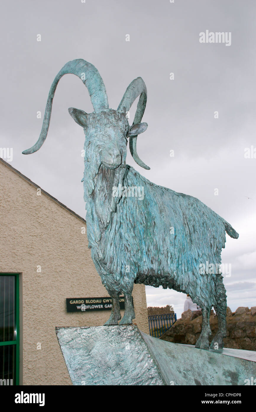Kashmir Goat bronze Great Orme Llandudno Conway Wales Stock Photo - Alamy