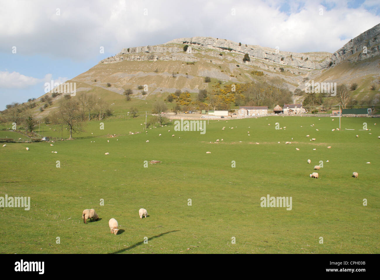 Eglwyseg Rocks farm and sheep Llangollen Denbighshire Wales Stock Photo ...