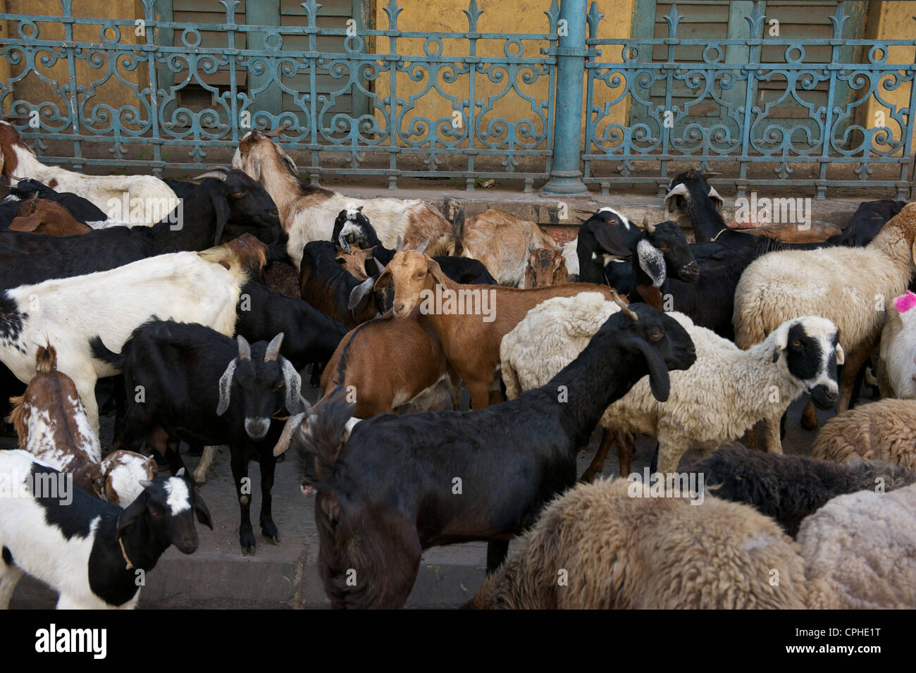 Sudder Street district, Central Calcutta, West Bengal, India Stock ...