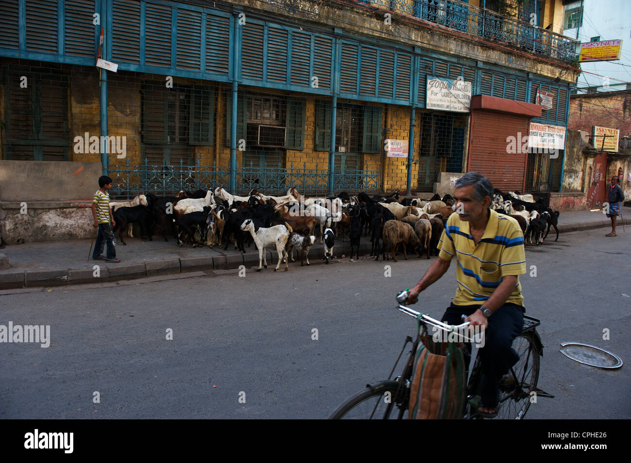 Sudder Street district, Central Calcutta, West Bengal, India Stock ...