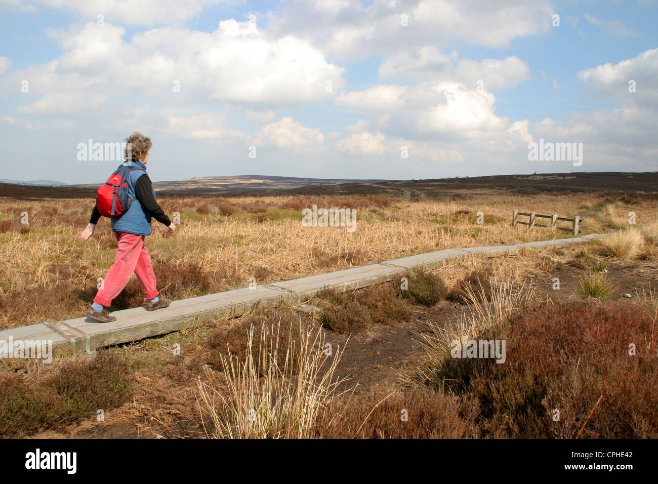 Walker Offa's Dyke Path board walk moorland Llandegla Denbighshire ...