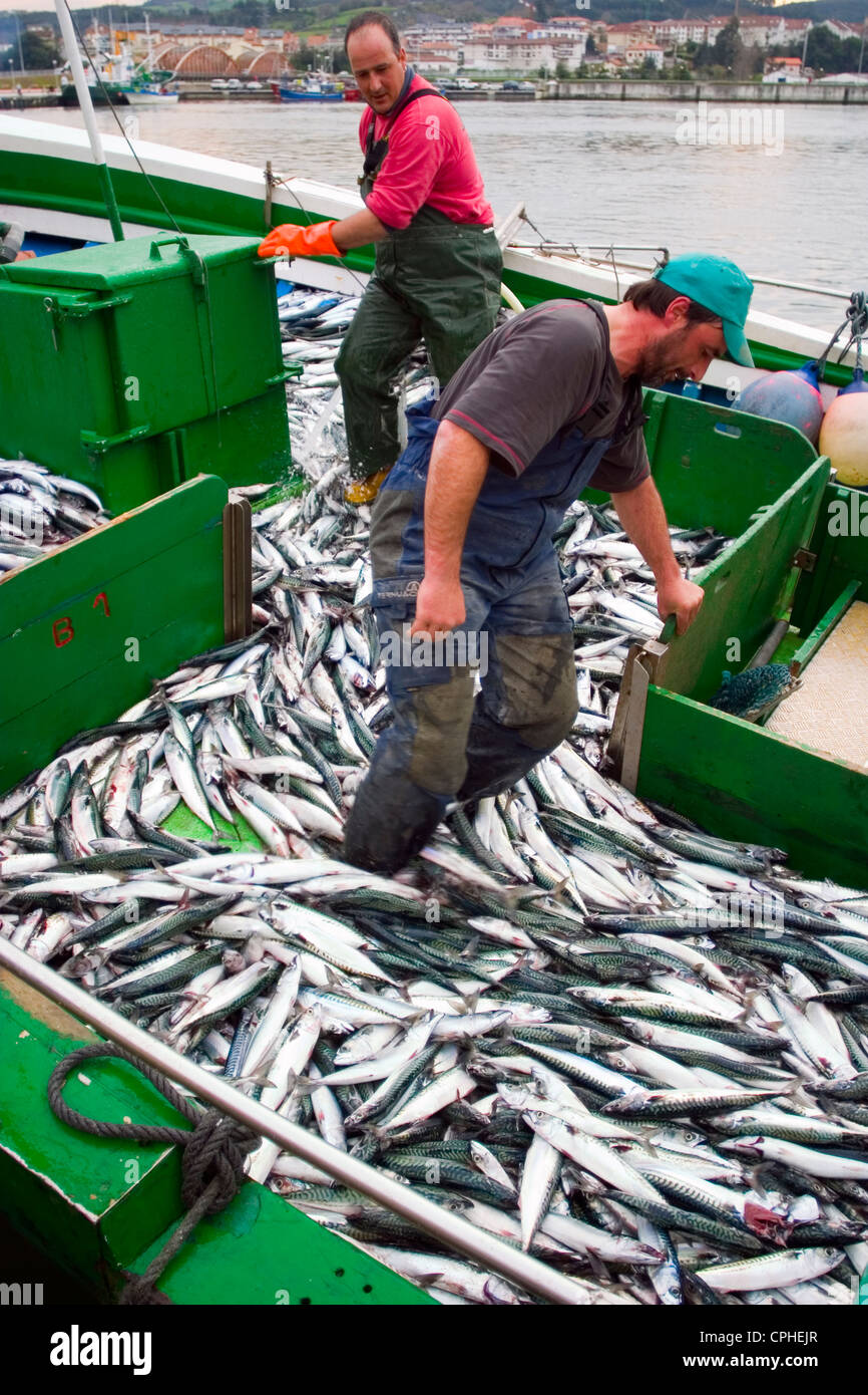 Fishermen in harbour Stock Photo - Alamy