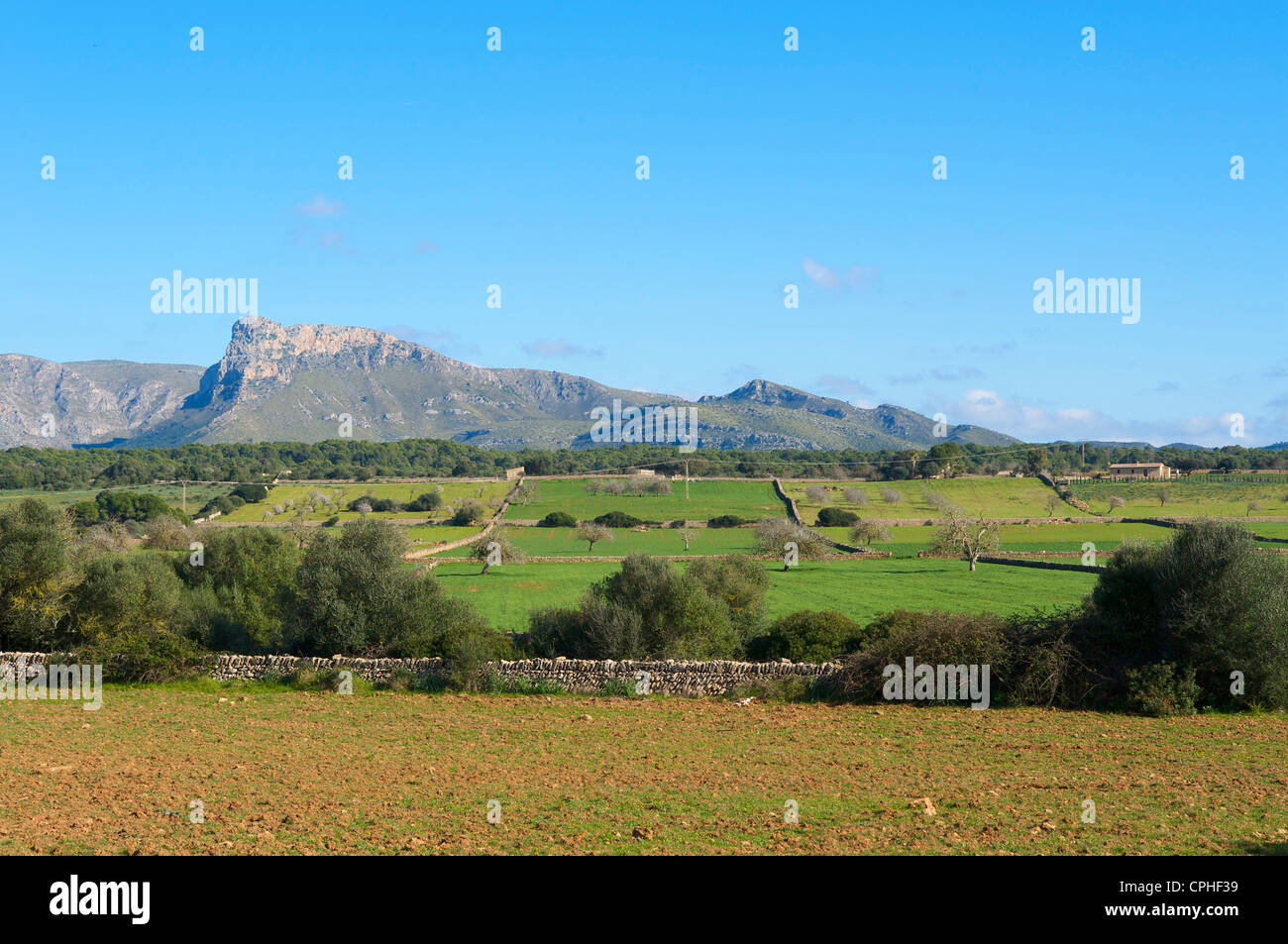 Majorca, Mallorca, Balearic Islands, island, isle, islands, isles ...