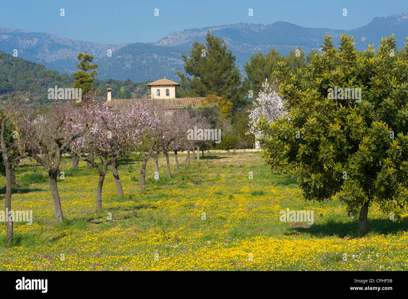Majorca, Mallorca, Balearic Islands, island, isle, islands, isles ...
