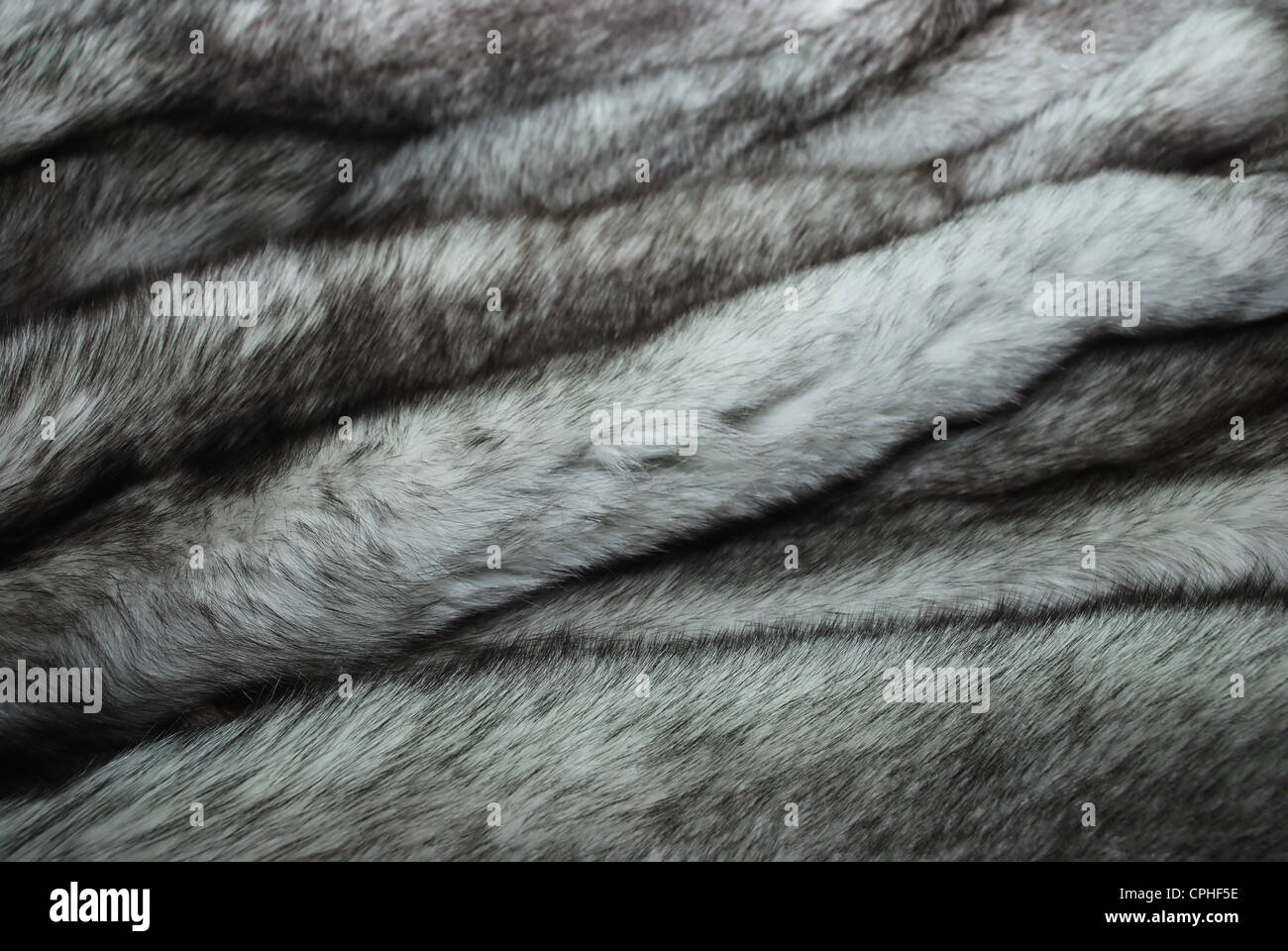 Arctic fox furs hi-res stock photography and images - Alamy
