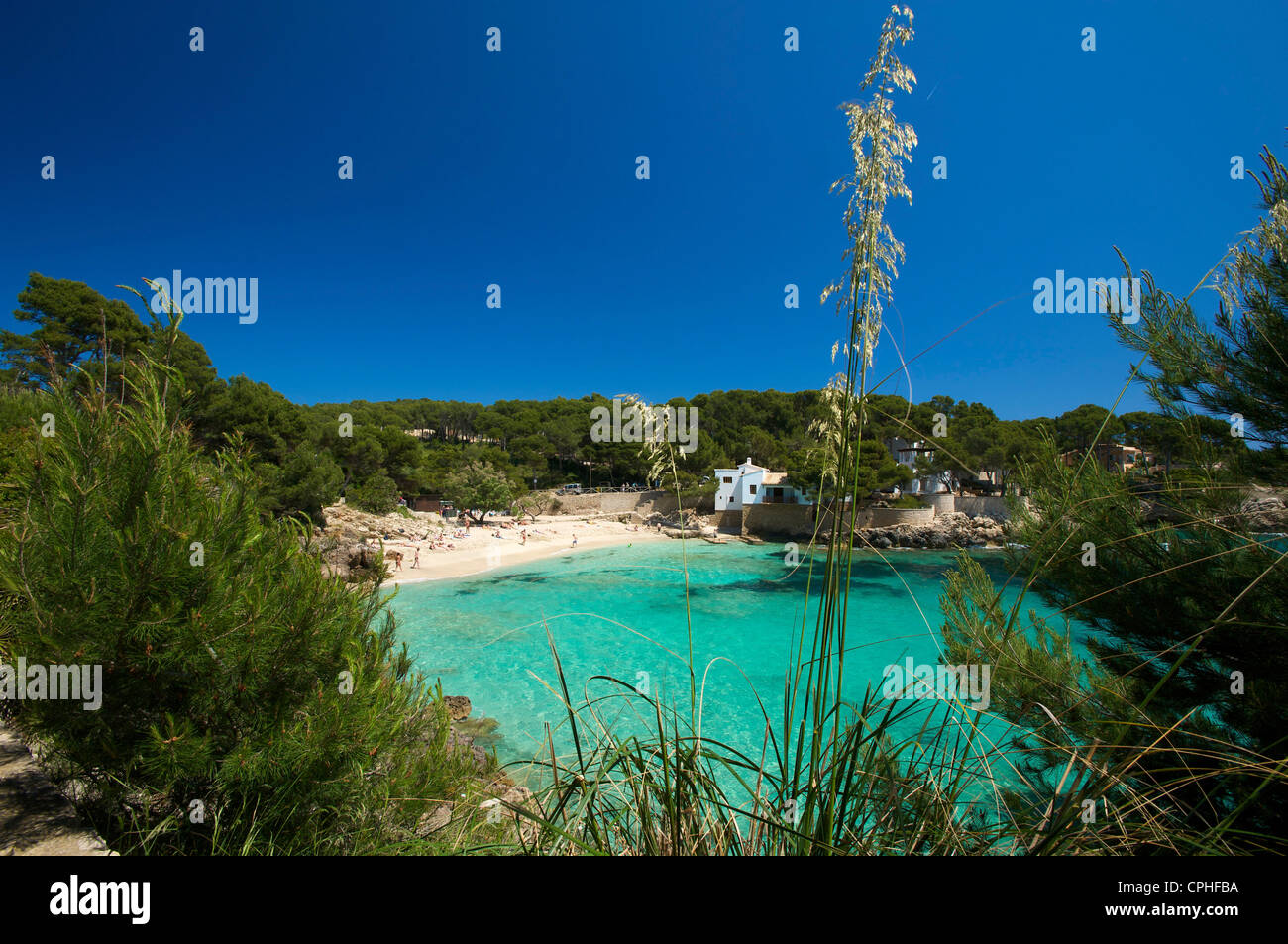 Majorca, Mallorca, Balearic Islands, island, isle, islands, isles ...