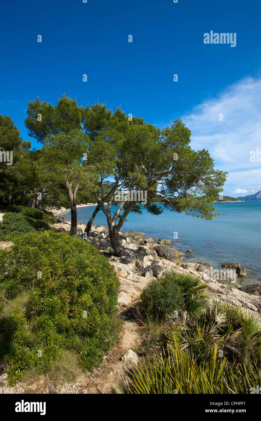 Majorca, Mallorca, Balearic Islands, island, isle, islands, isles ...