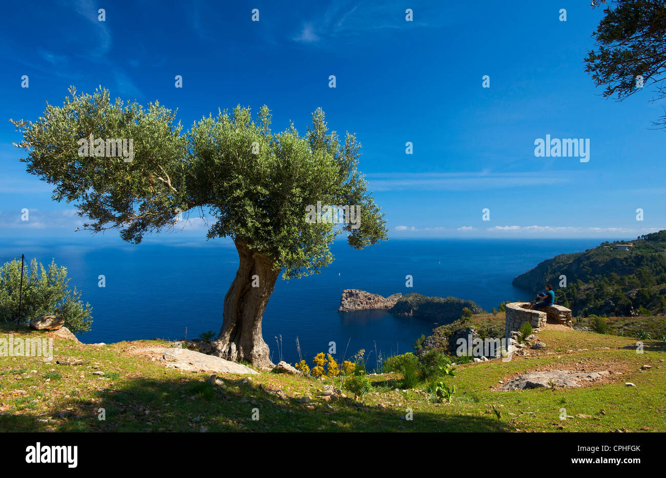 Majorca, Mallorca, Balearic Islands, island, isle, islands, isles ...