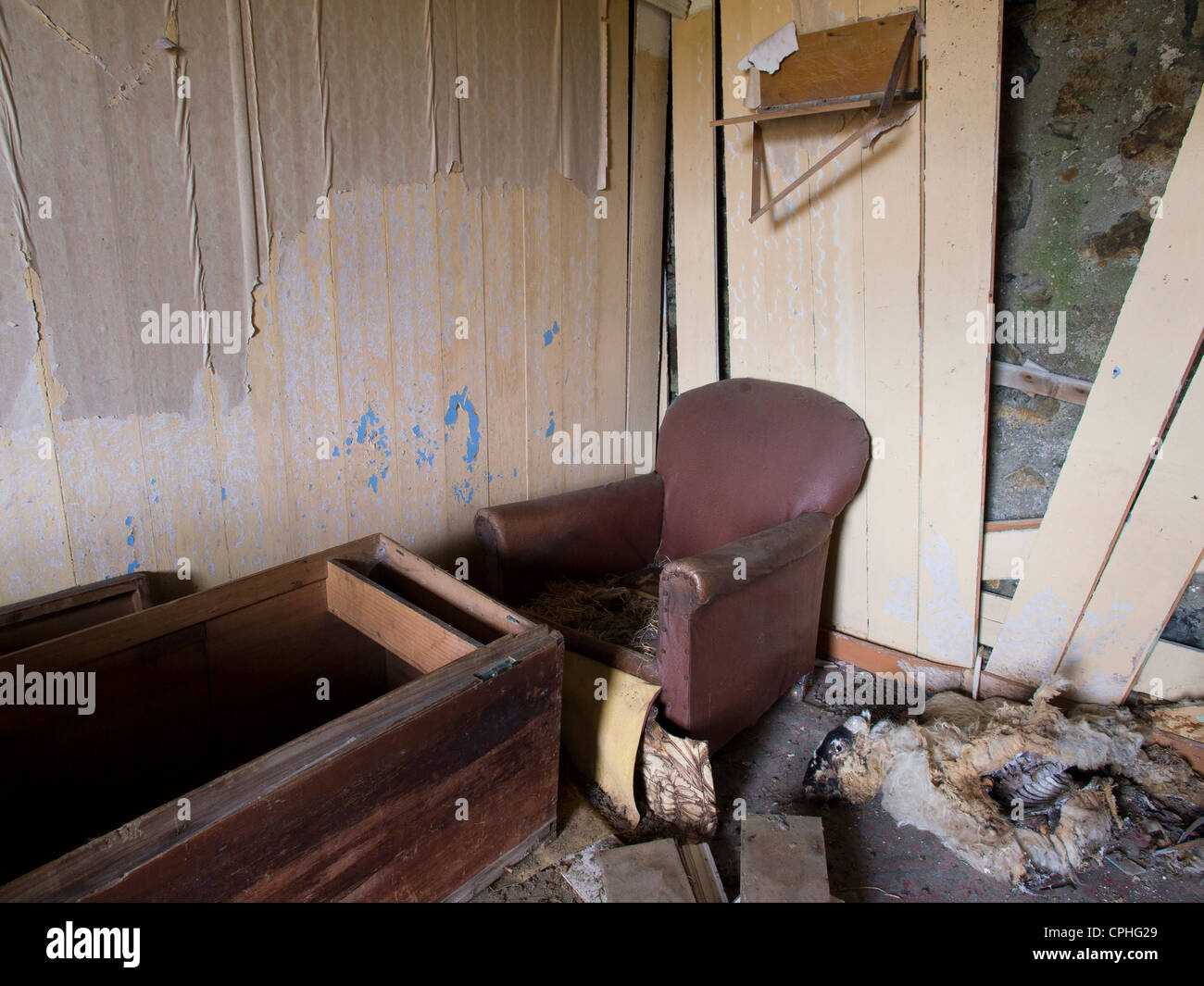 Lewis Croft Scotland Sheep High Resolution Stock Photography and Images ...