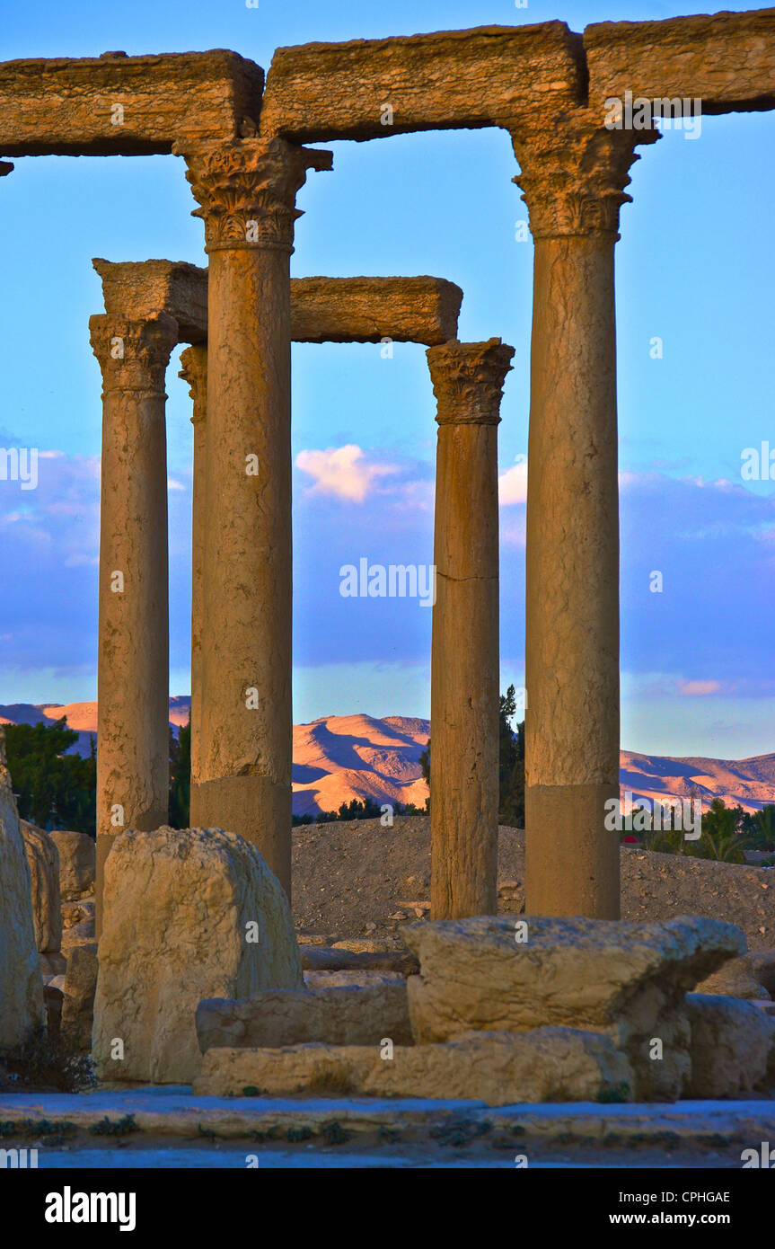 Palmyra columns hi-res stock photography and images - Alamy