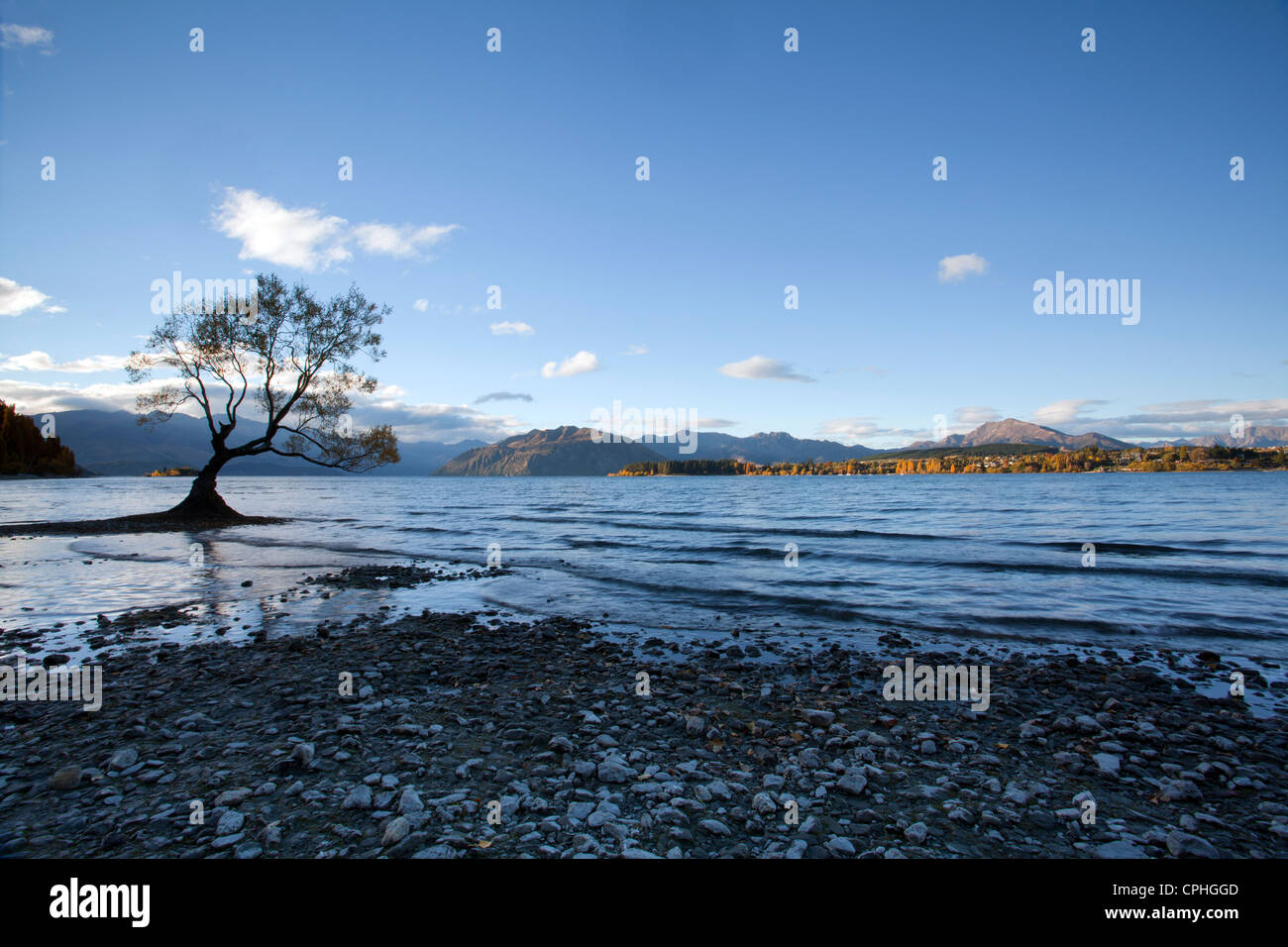 Wanaka shoreline hi-res stock photography and images - Alamy