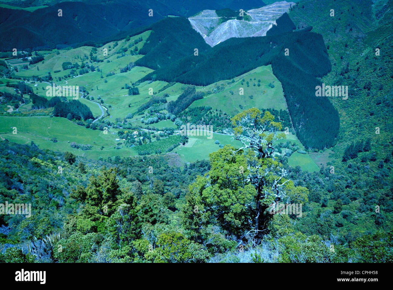 Motueka new zealand hi-res stock photography and images - Alamy