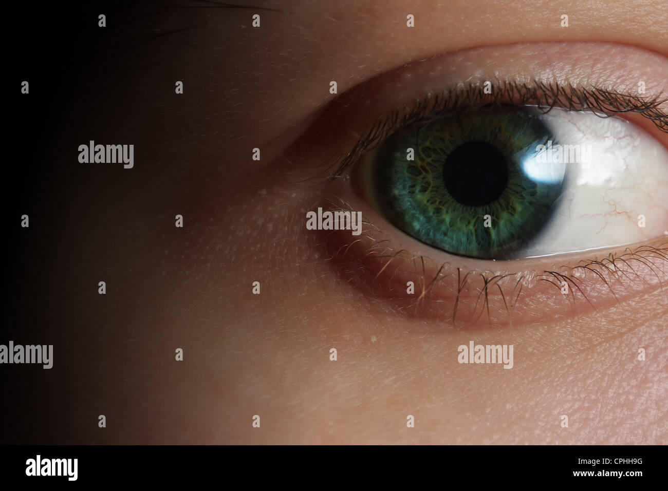 Scared eye hi-res stock photography and images - Alamy