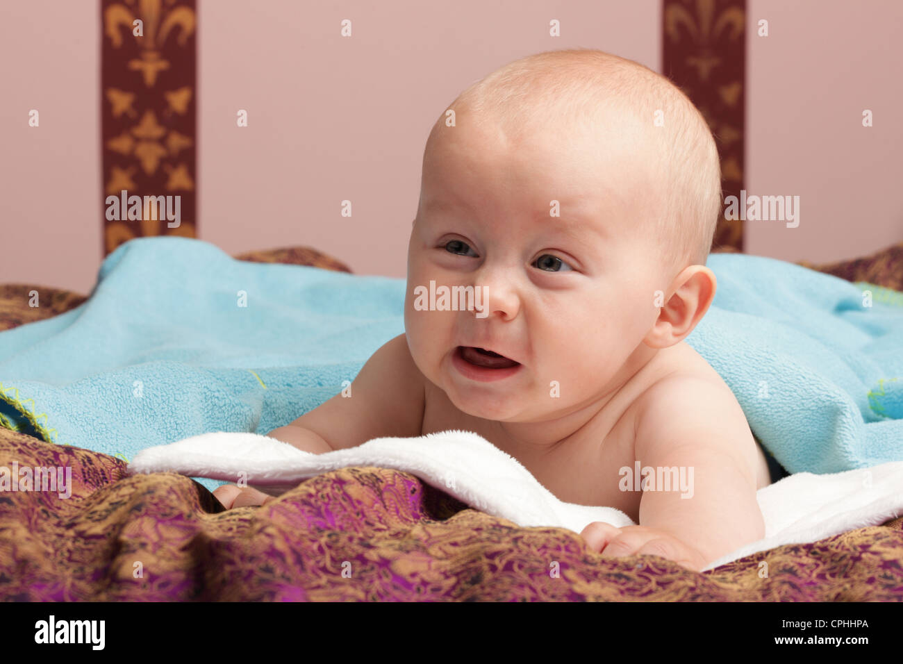portrait of 6 months male child baby boy in blue eye Stock Photo - Alamy