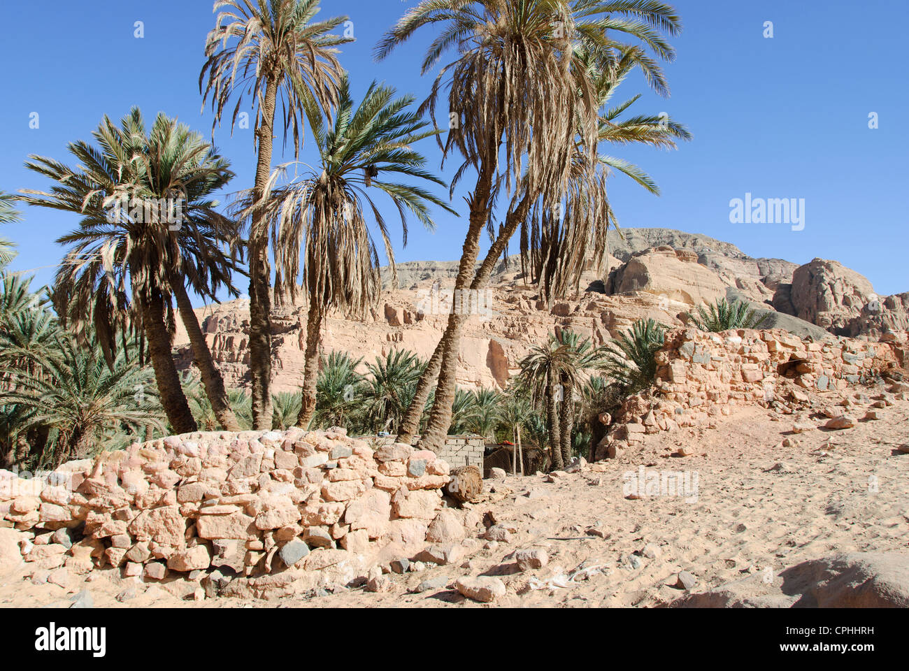 Ein khudra oasis hi-res stock photography and images - Alamy