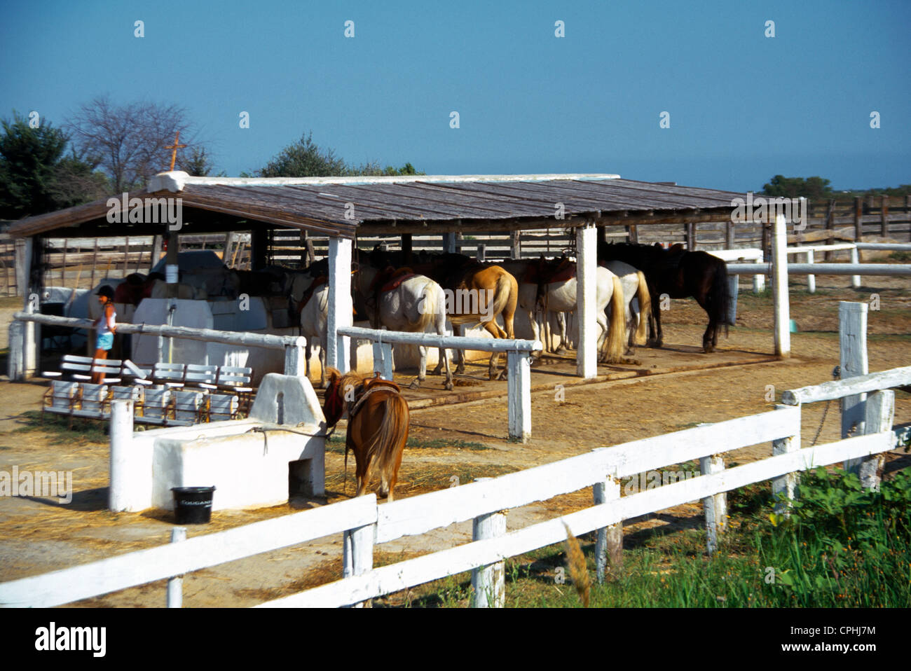 Horses stables hi-res stock photography and images - Alamy