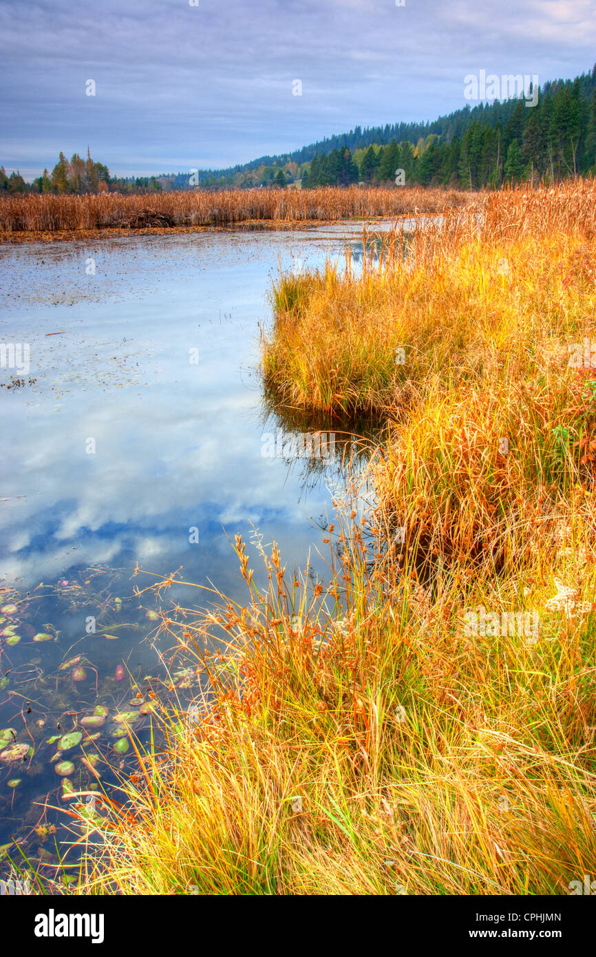 A colorful wetlands area near Newport, Washington Stock Photo - Alamy