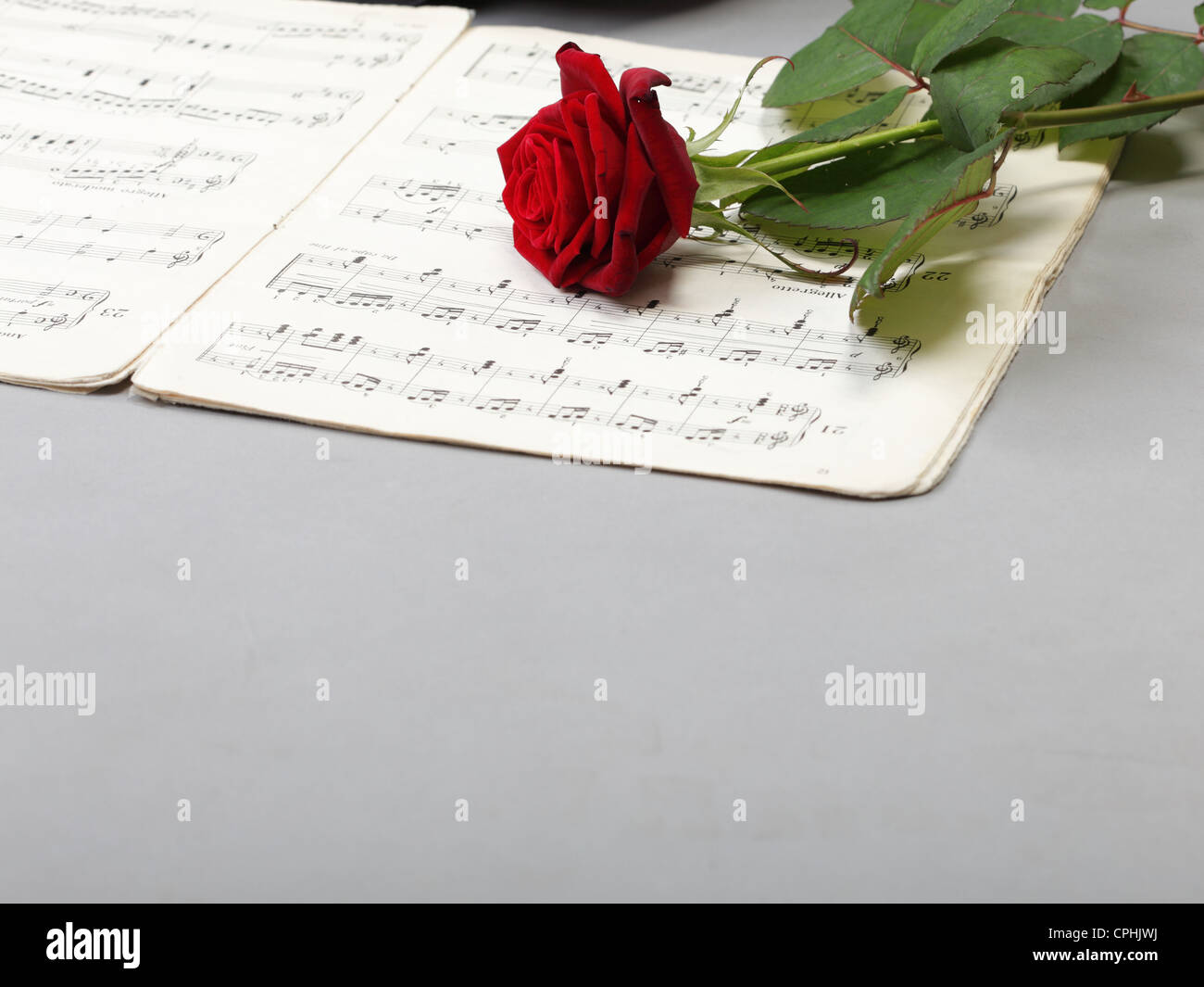 red rose and old note notes love music background Stock Photo - Alamy