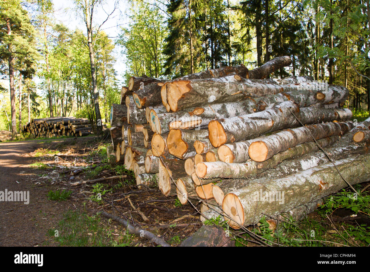 stack of logs Stock Photo - Alamy