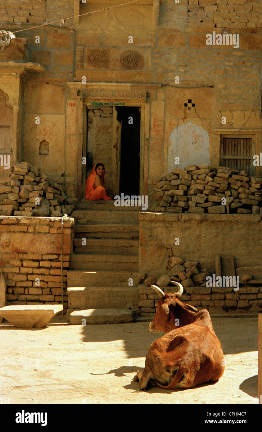 Indian cow in house hi-res stock photography and images - Alamy