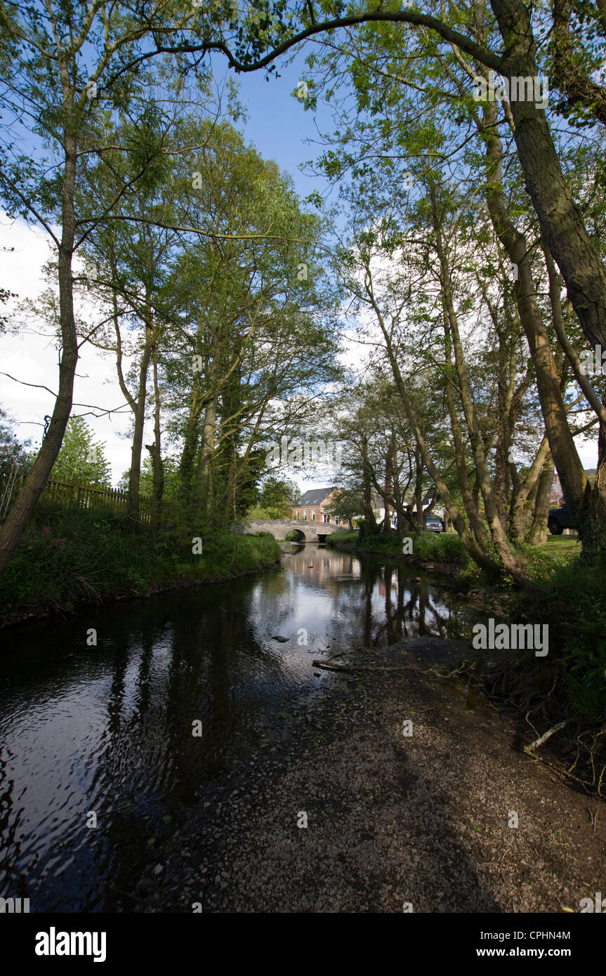 The River Clun with trees on each riverbank creating patches of dappled ...