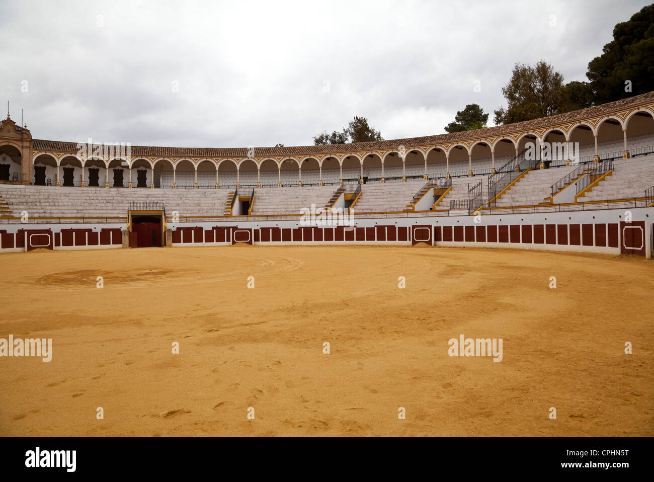 Cattle show in the Spanish town of Antequera Stock Photo - Alamy