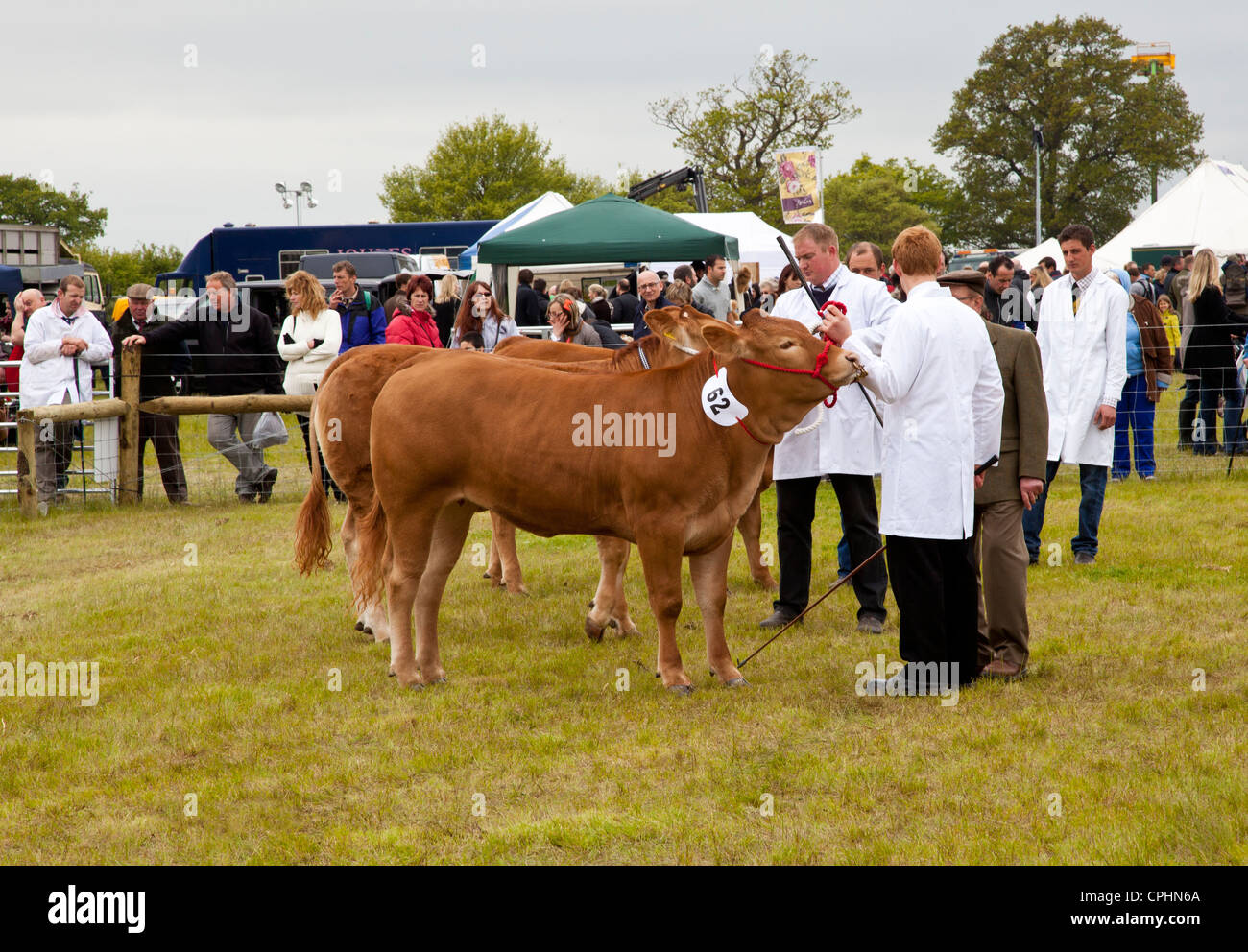 Annual cattle fair hi-res stock photography and images - Alamy