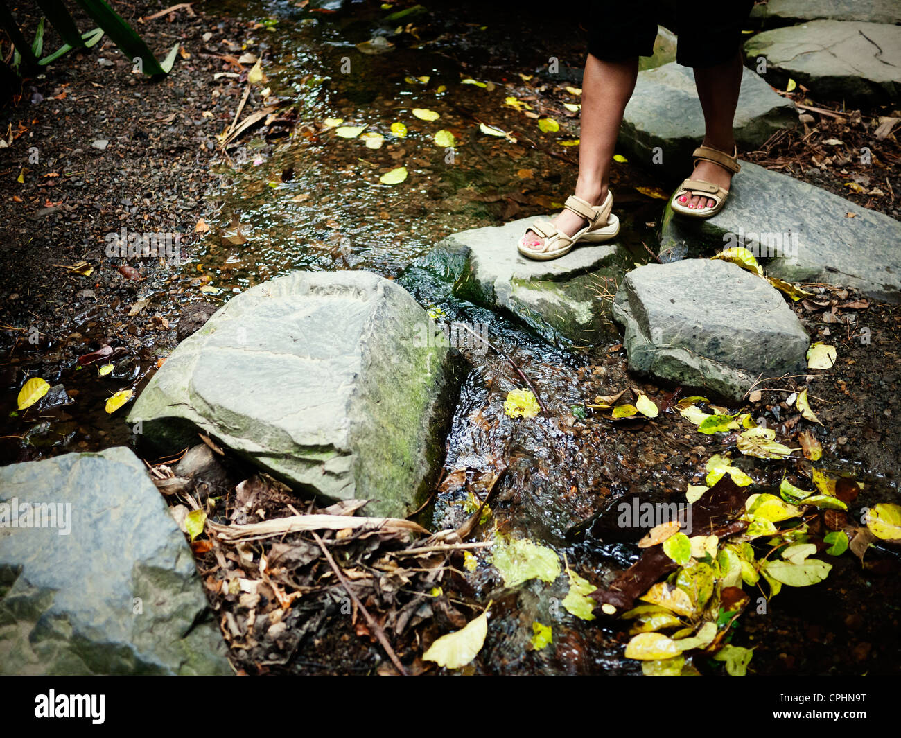 Stepping stone path feet hi-res stock photography and images - Alamy