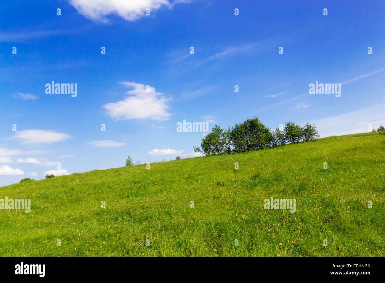 The left side of spring green grass hill and cyan sky Stock Photo - Alamy