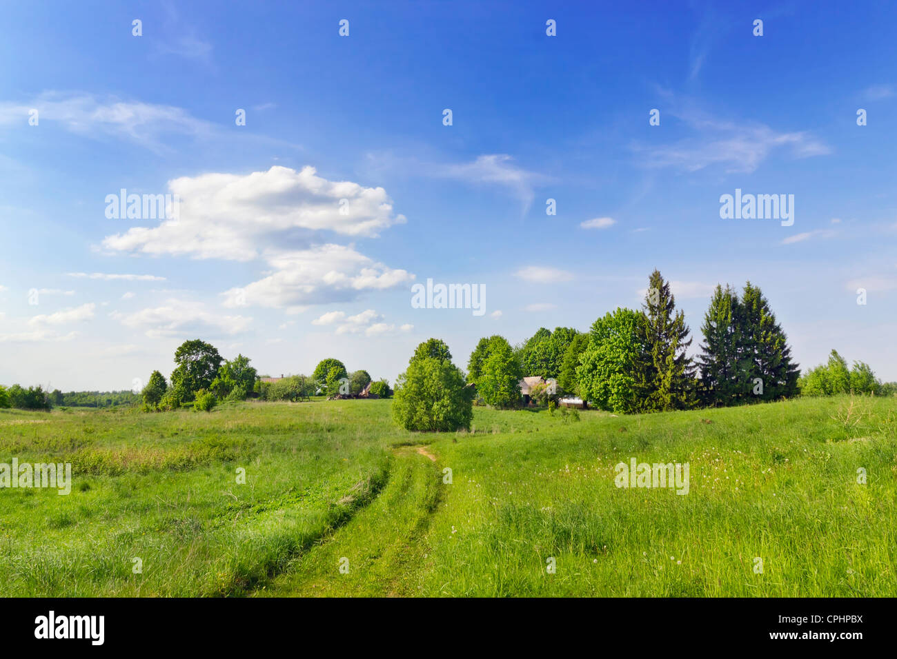Spring rural landscape with trees, road, sky, cloud, and wild field ...