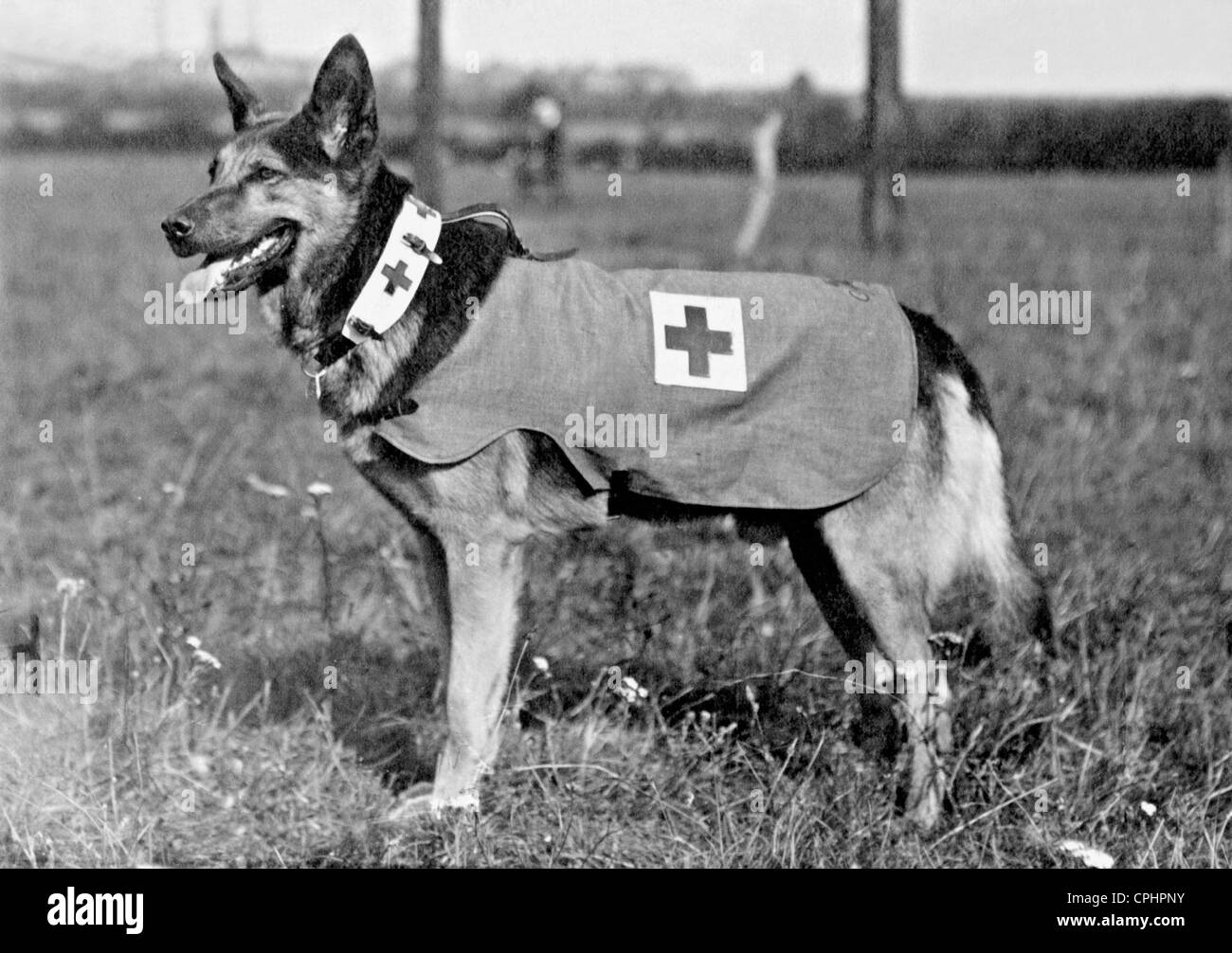 German Medic Stock Photos & German Medic Stock Images - Alamy