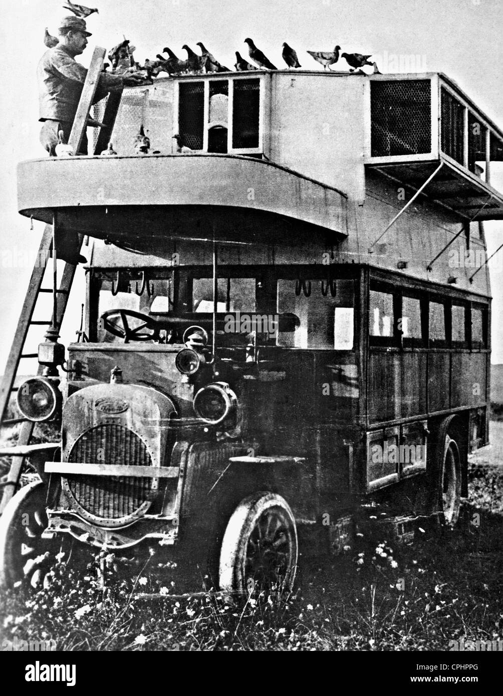 Mobile carrier pigeon station, 1915 Stock Photo - Alamy