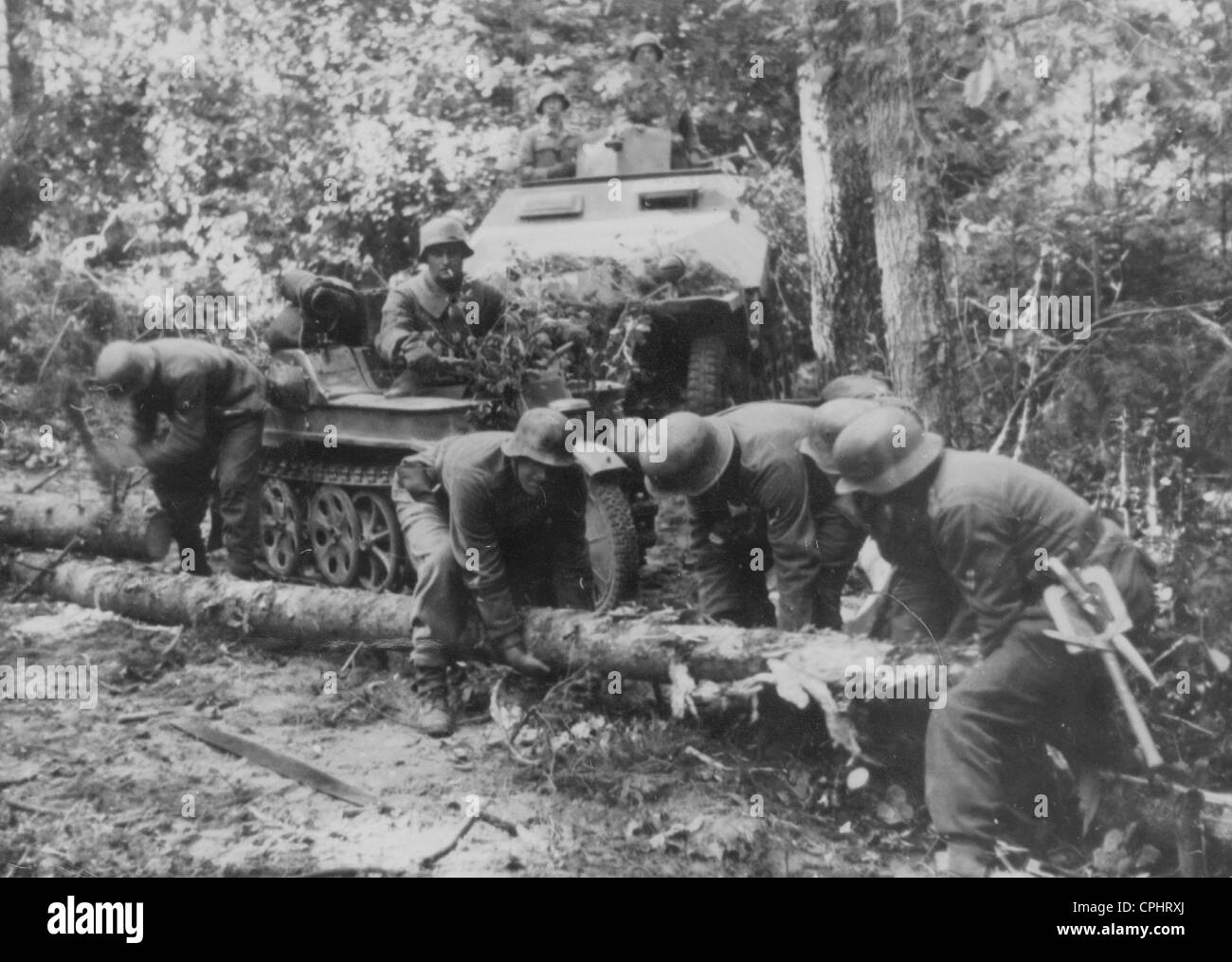 German soldiers in a tree hi-res stock photography and images - Alamy