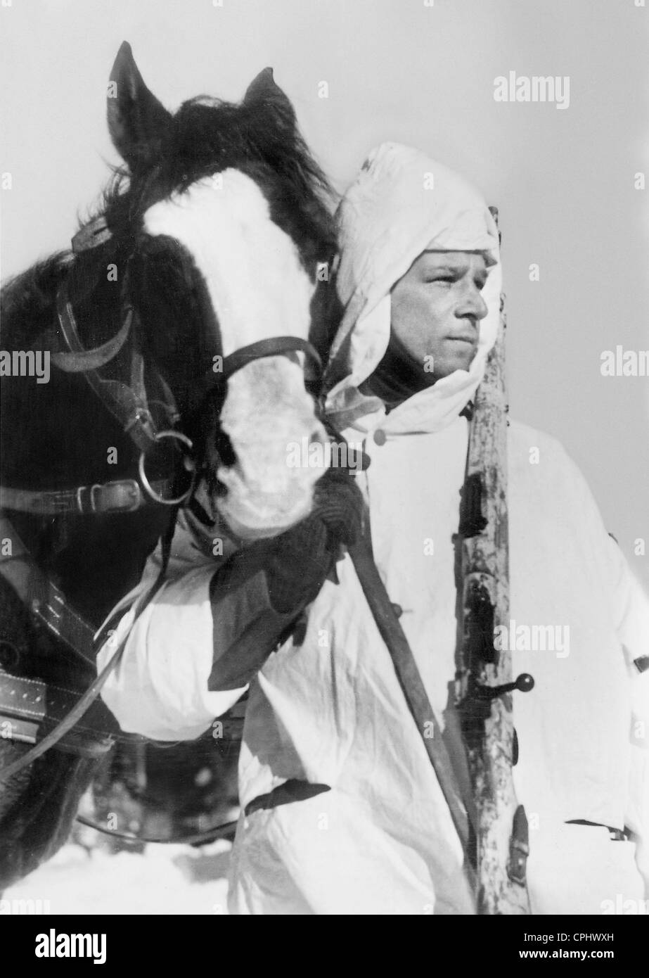 War horse and soldier hi-res stock photography and images - Alamy