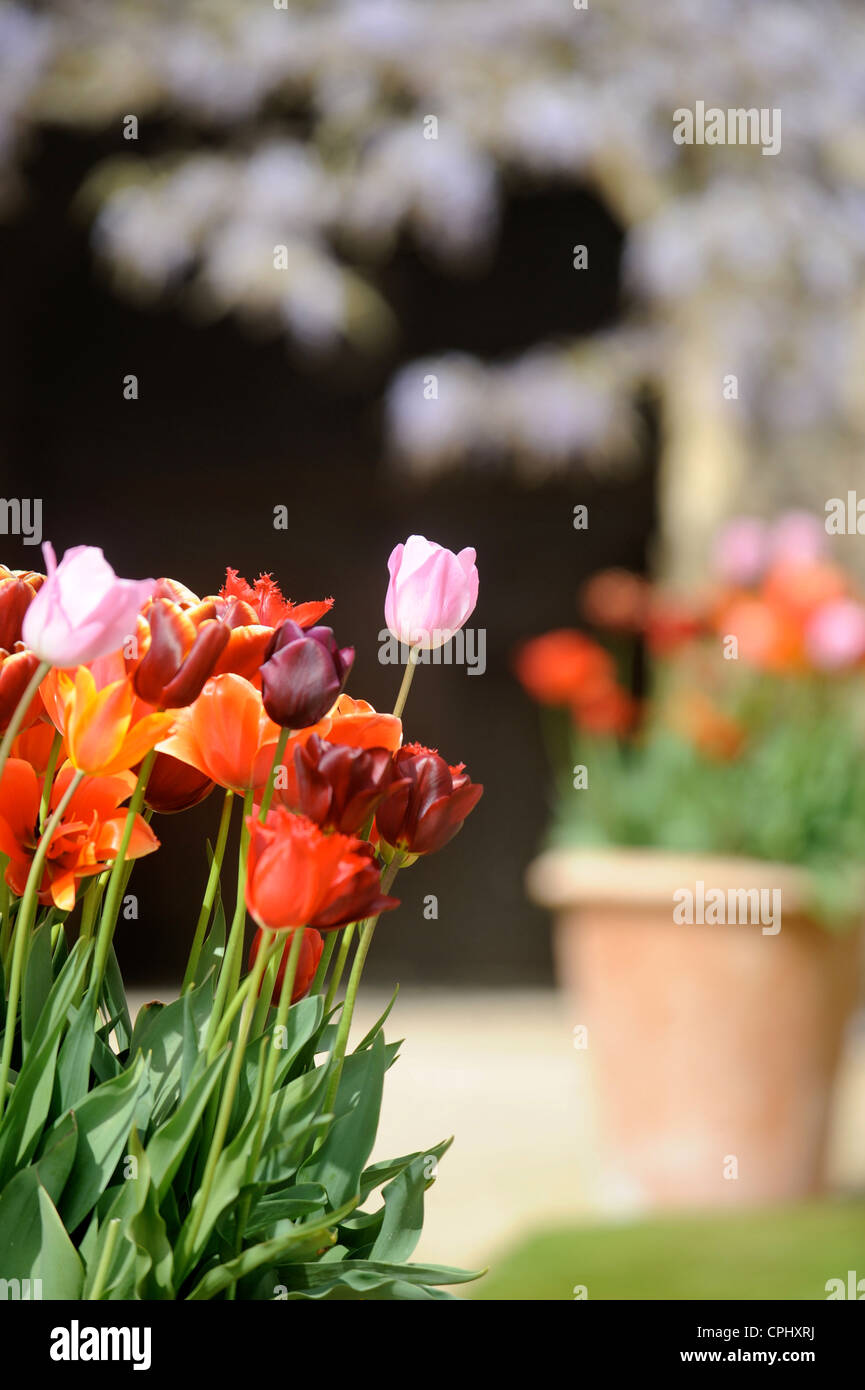 Spring may garden pots hi-res stock photography and images - Alamy