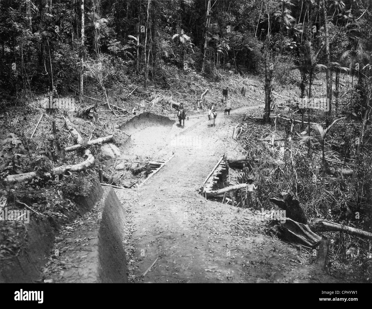 With see through Black and White Stock Photos & Images - Alamy